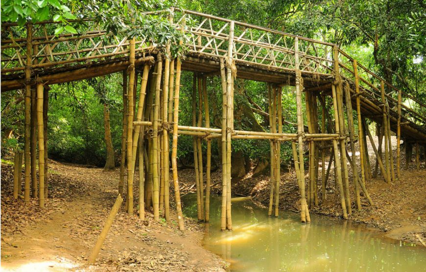 Wayanad Tour Package | GT Holidays