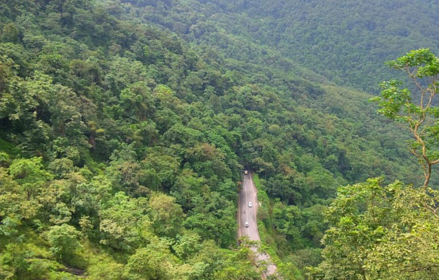 Wayanad Tour Package | GT Holidays