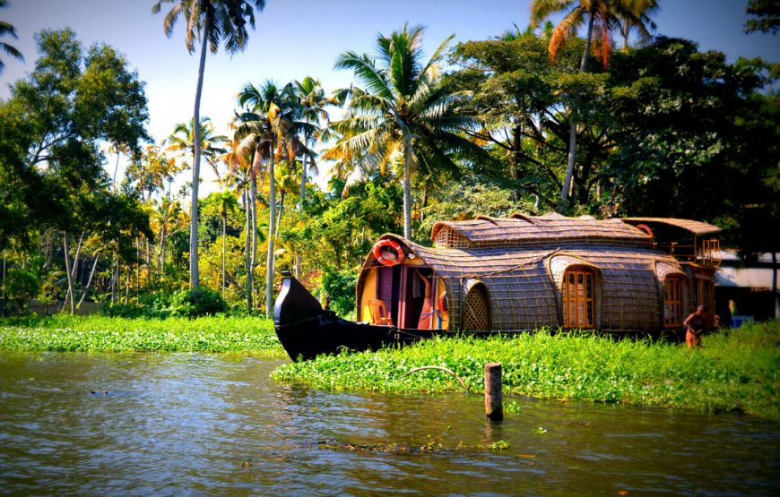 Wayanad Tour Package | GT Holidays