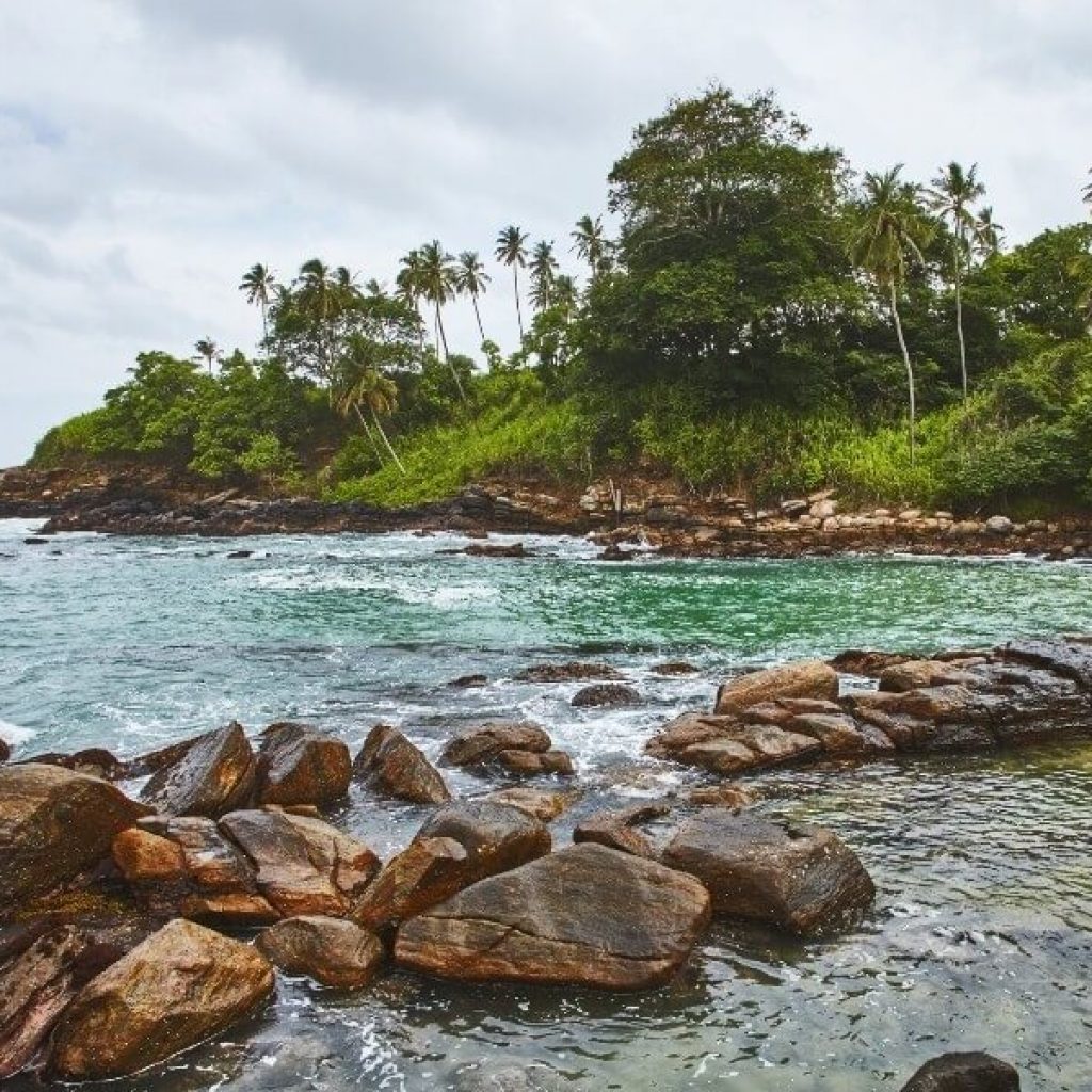 Book Your Cordelia Cruises Packages in India at a special price