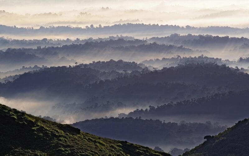 Coorg Honeymoon Packages | Starting at INR 15,000